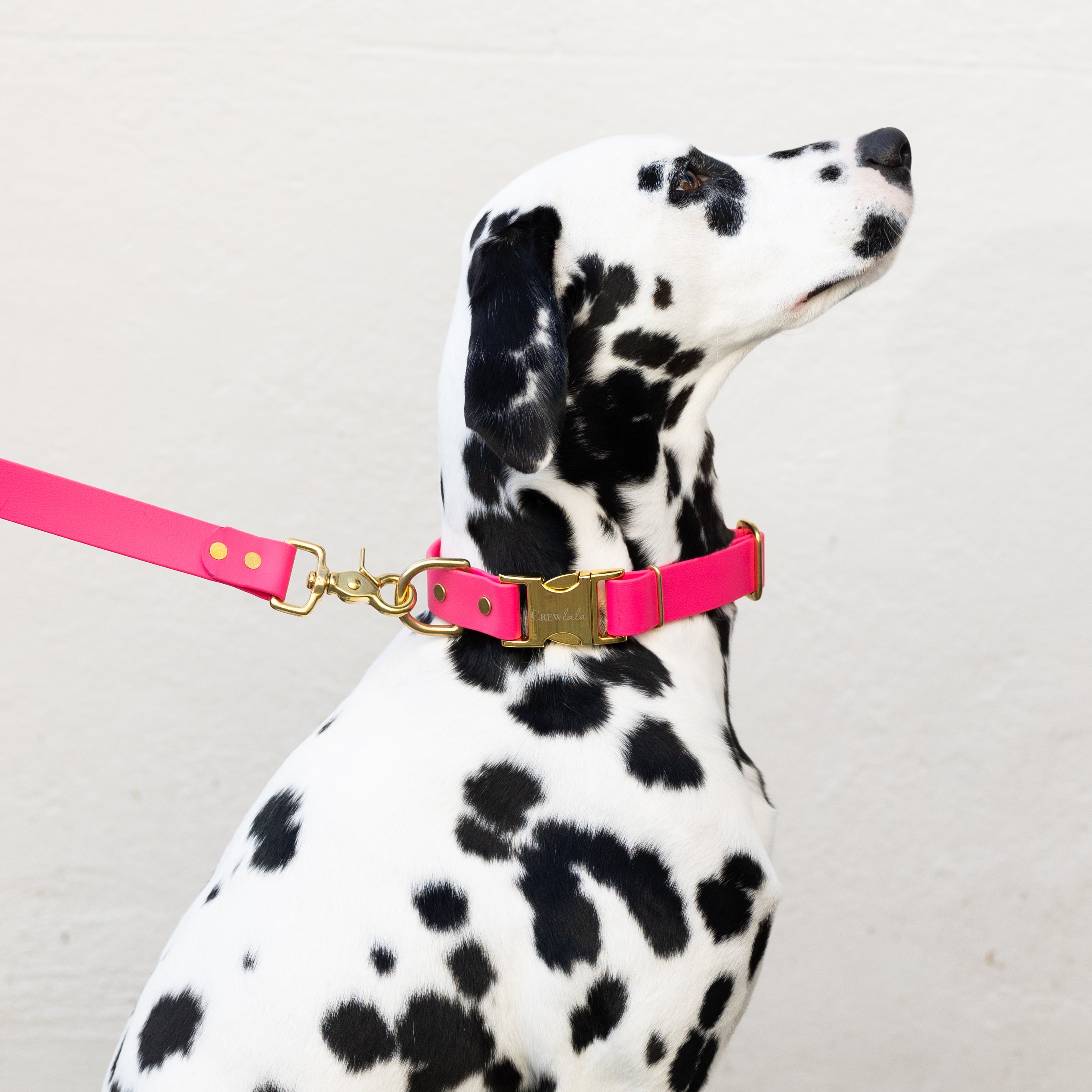 Sporty & Waterproof – Crew LaLa