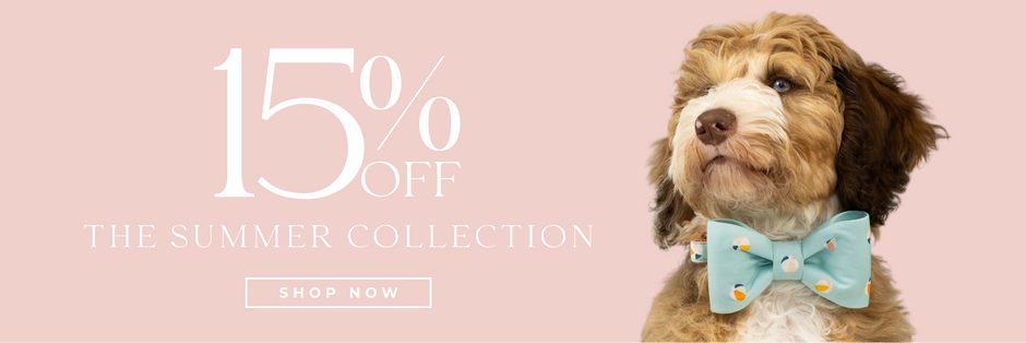 Belle Bow Dog Collars | Crew LaLa